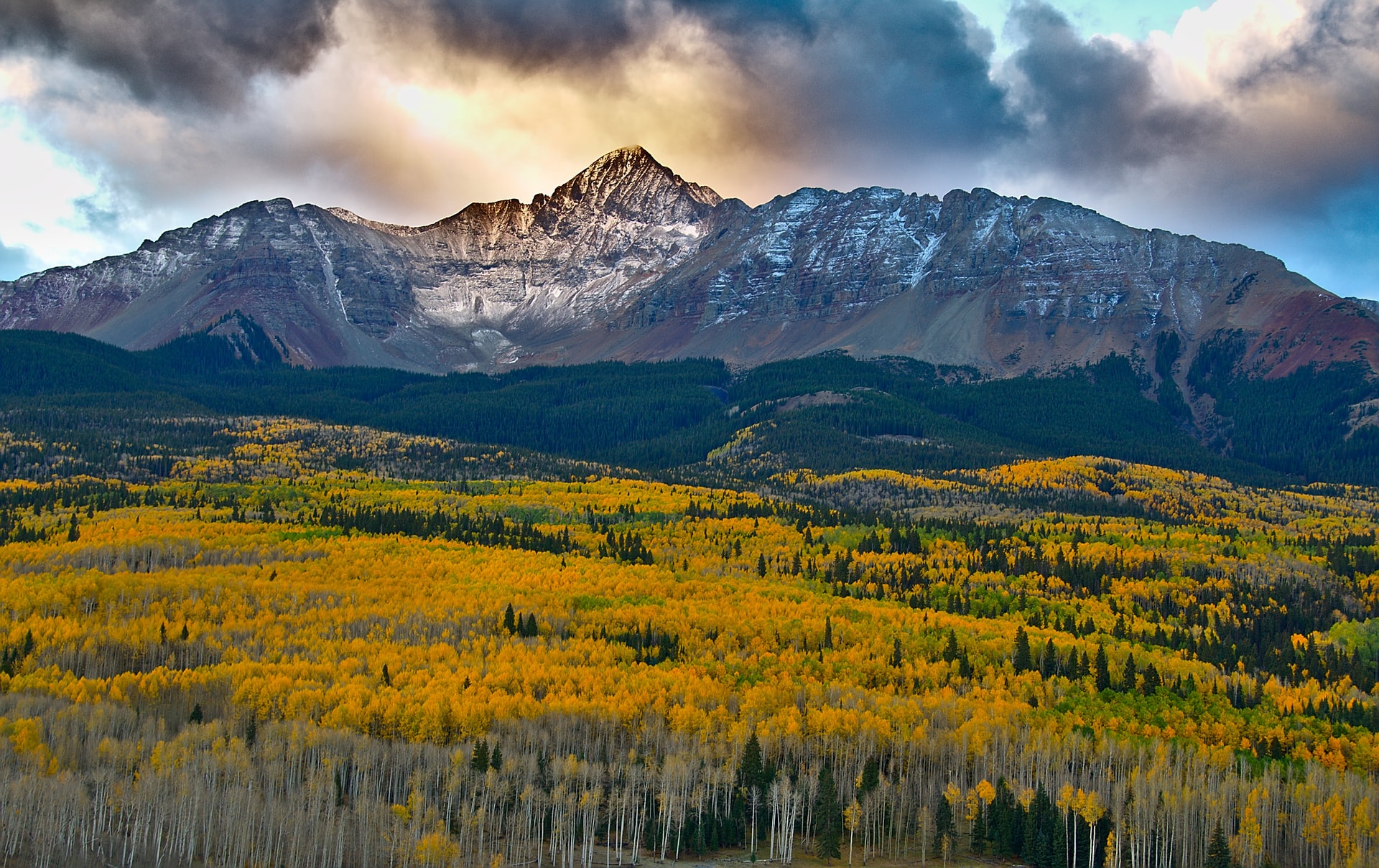 Visit the Top 5 Wildlife Watching Spots | Places to See in Telluride
